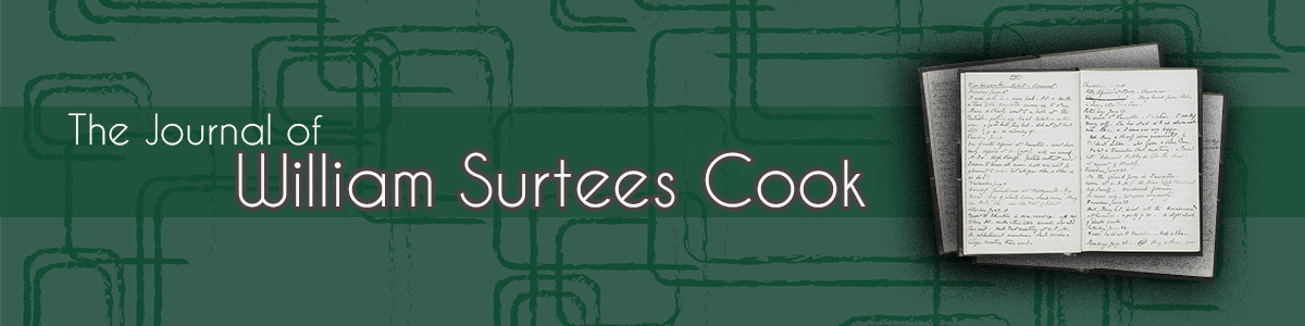 The Journal of William Surtees Cook