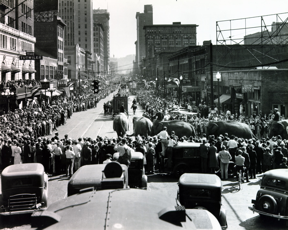 Alabama History Digital Collections - Samford University Digital ...