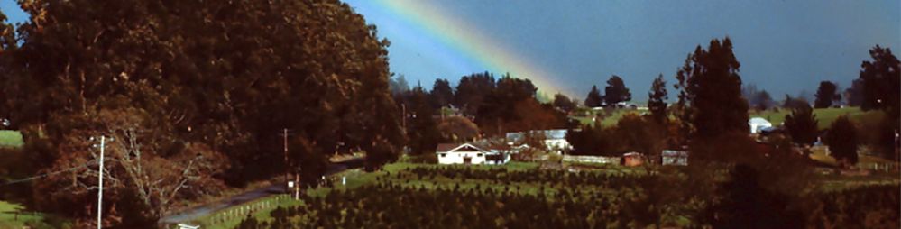 Topical Group -- Agriculture - Sonoma County Library Digital ...