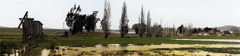 Western Sonoma County Historic Resources Survey - Sonoma County Library Digital Collections ...