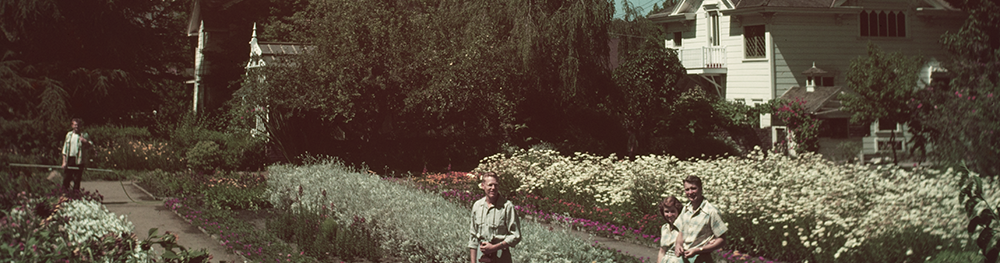 Partner Collections - Sonoma County Library Digital Collections -- Colecciones Digitales de la ...