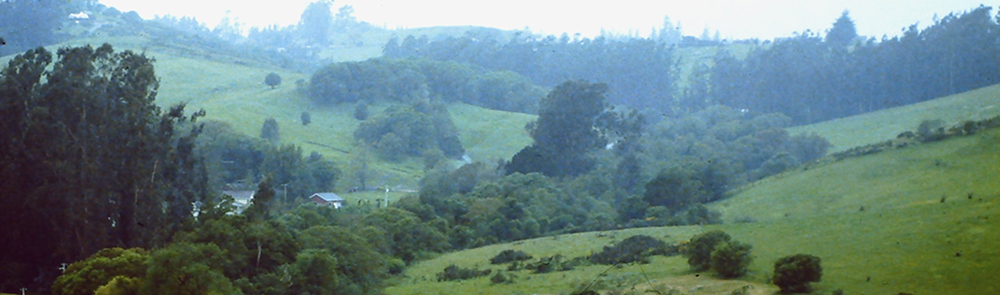 Oral Histories & Stories - Sonoma County Library Digital Collections -- Colecciones Digitales de ...