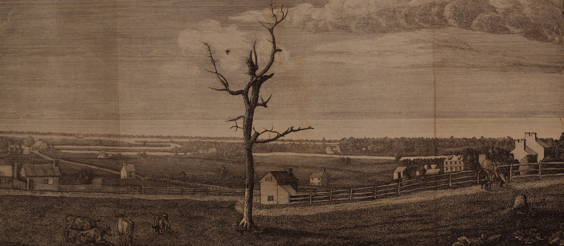 America250PA and the State Library of Pennsylvania - State Library of ...